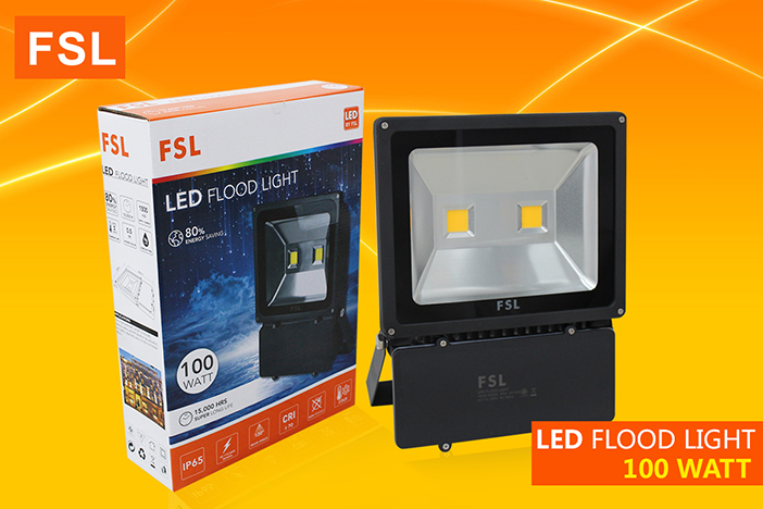 FSL-SPL-100W