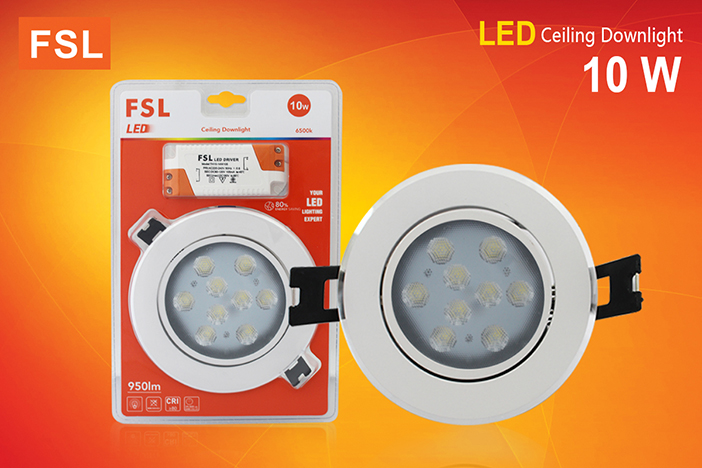 ดาวไลท์ FSL-DL-10W