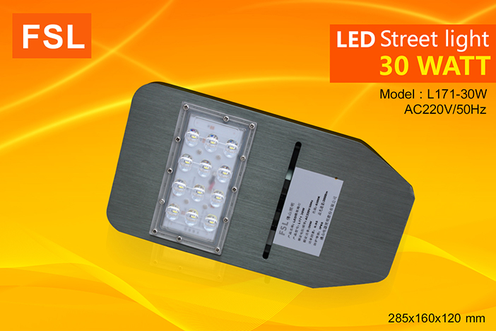 FSL-S-L171-30W